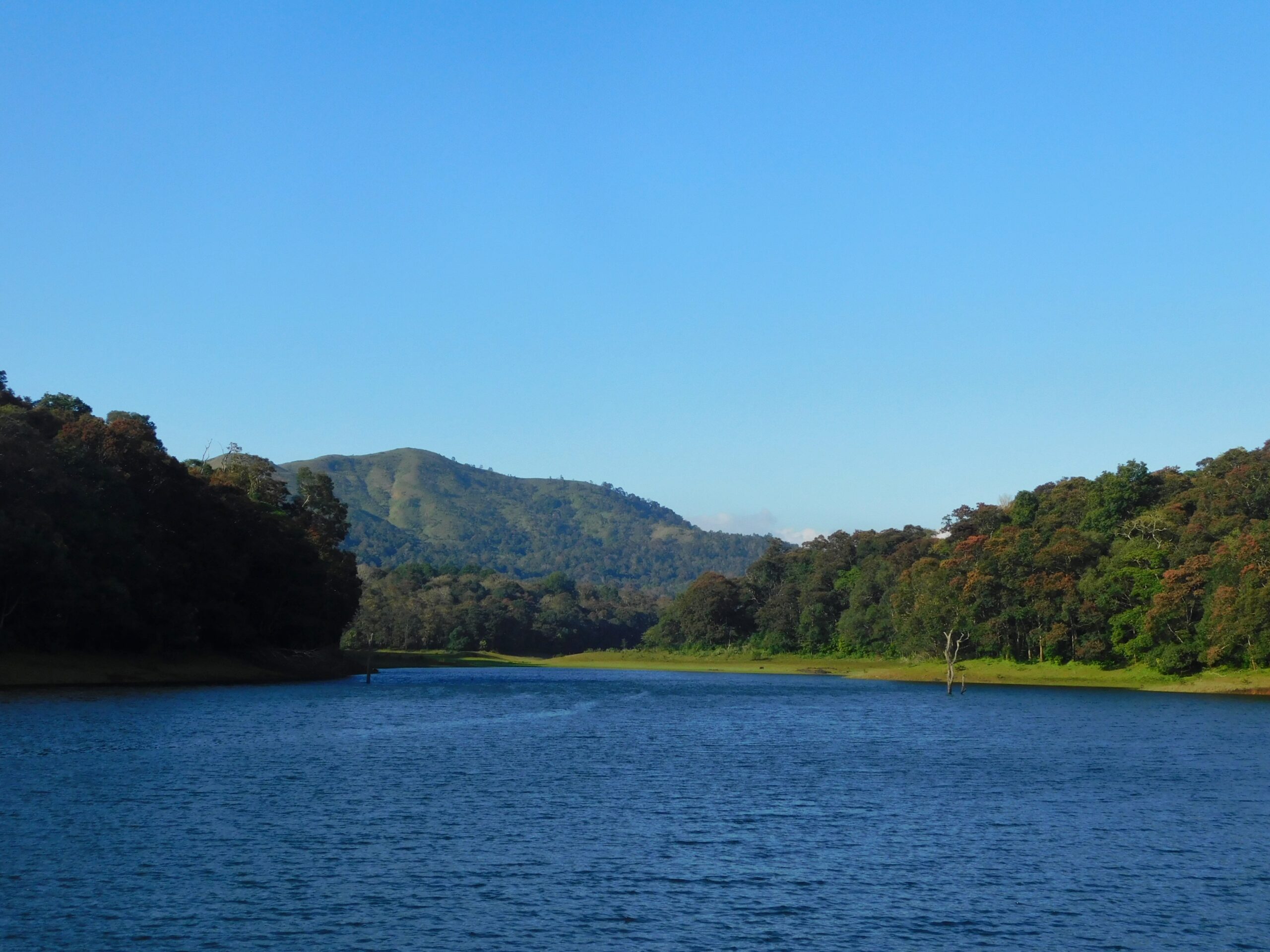 Thekkady Tourist Attractions – Ultimate Travel Guide 2025 - Travel ...